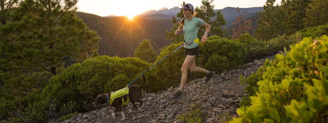 Home - Tailwagger 5K